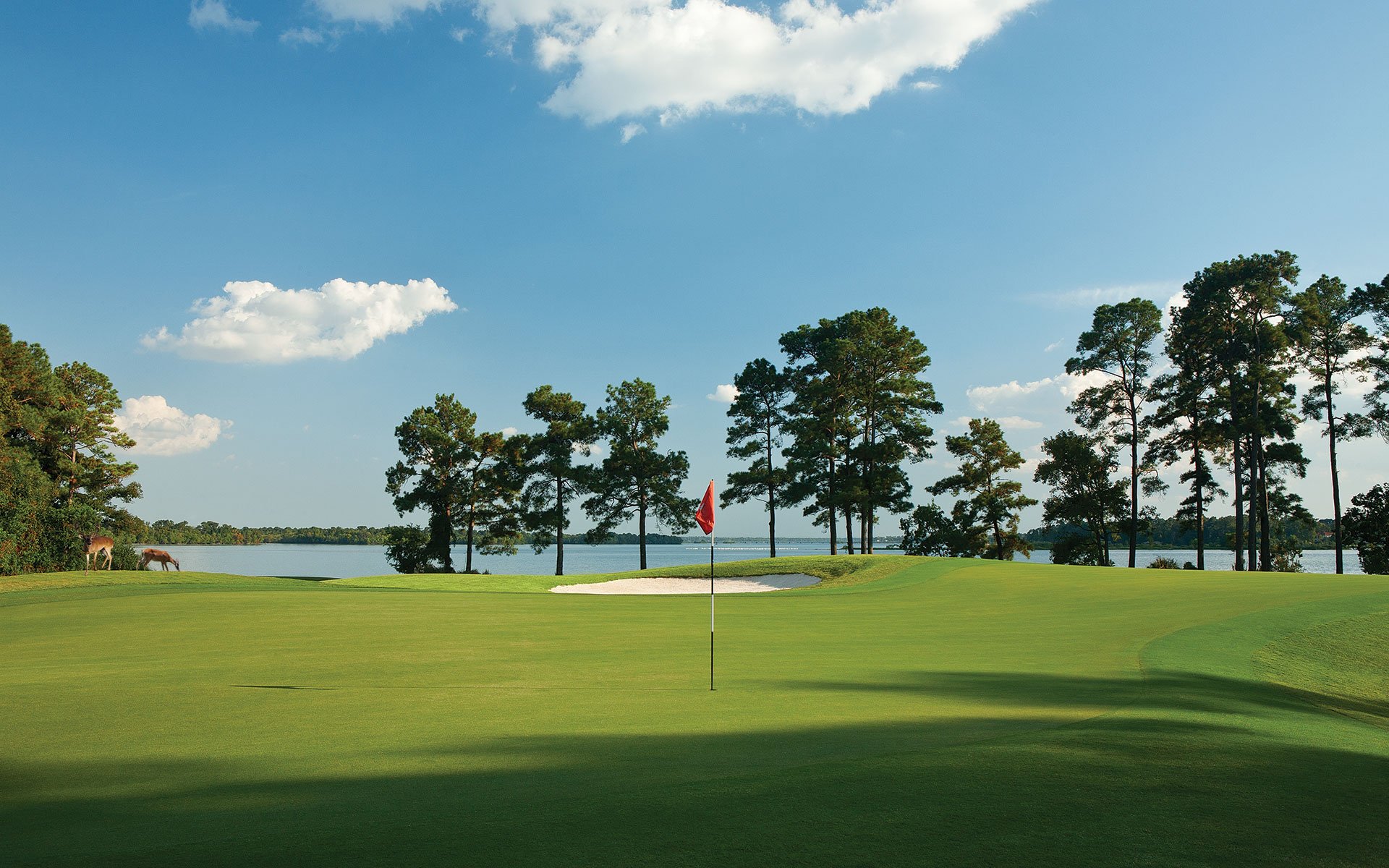 Deerwood Golf Course | Premier Golfing in Kingwood, TX